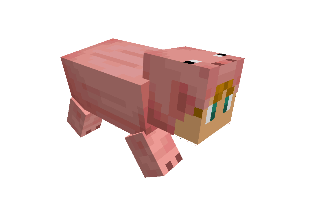 Minecraft Pig Side View